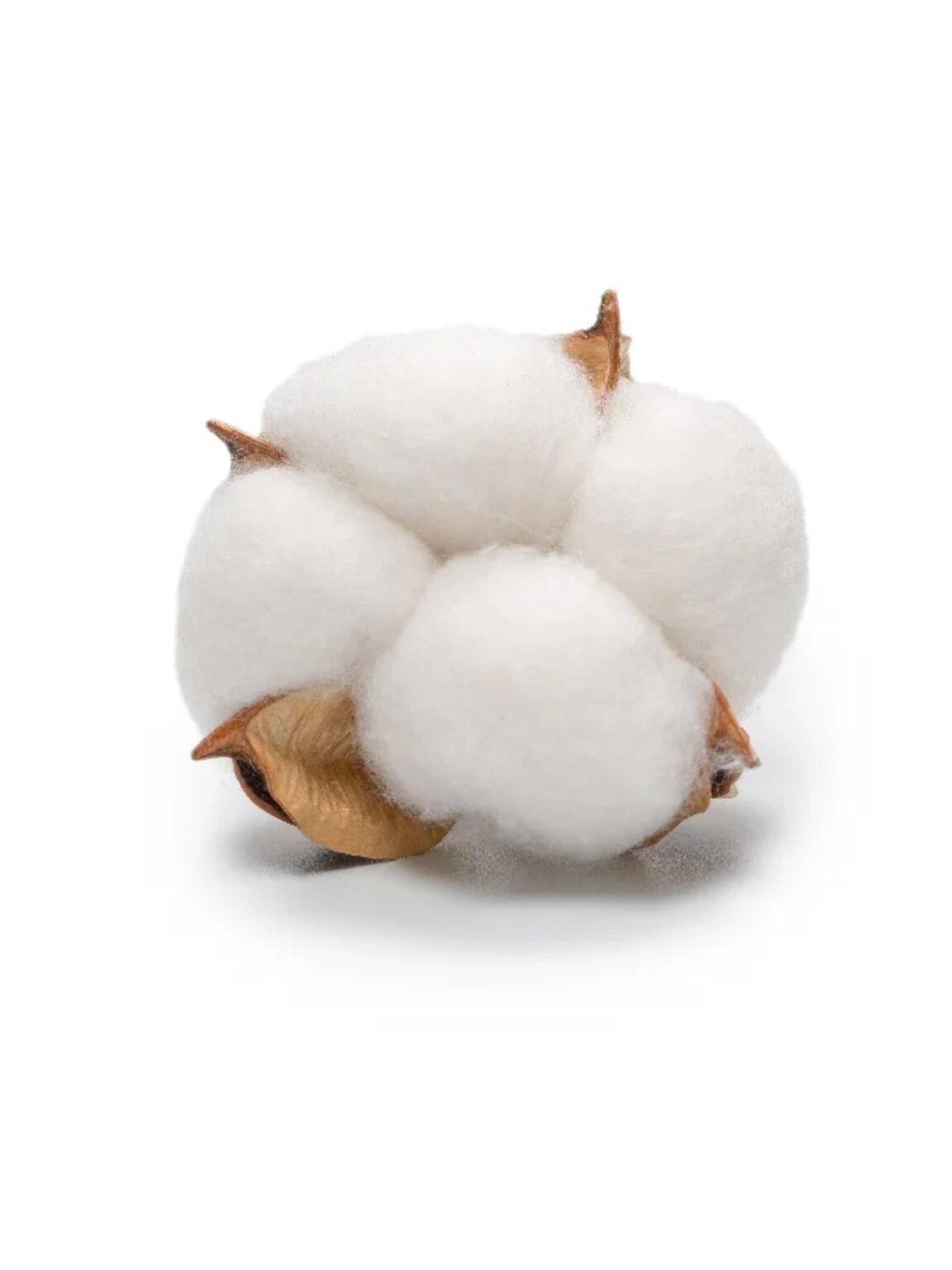 How Denim Is Made: From Cotton to Jeans - lydenim.com